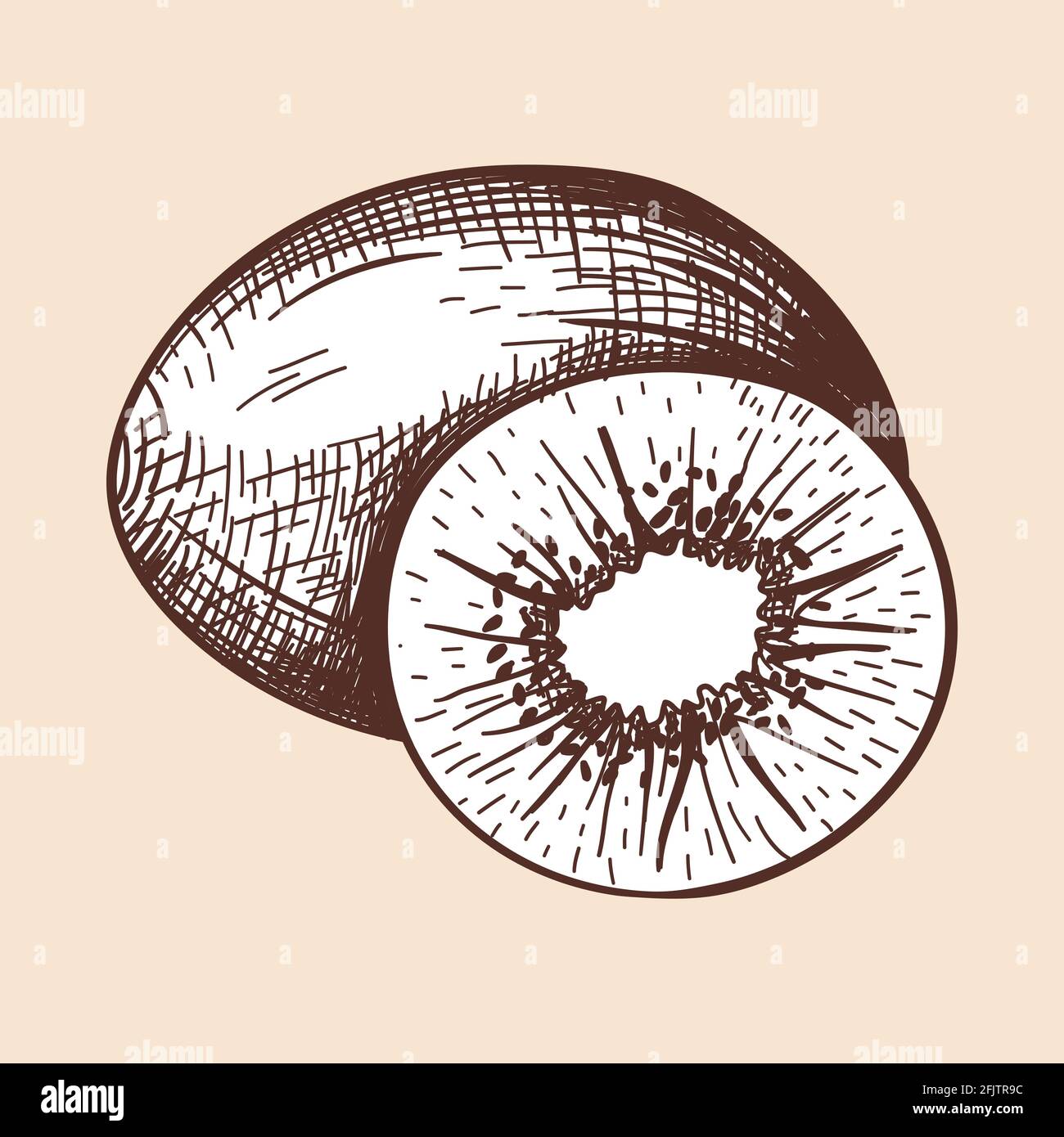 Icon Of Kiwi. Hand Drawn Sketch. Retro Vintage Design. Vector ...