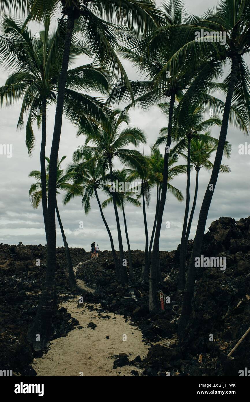 Mahaiula state beach park hi-res stock photography and images - Alamy