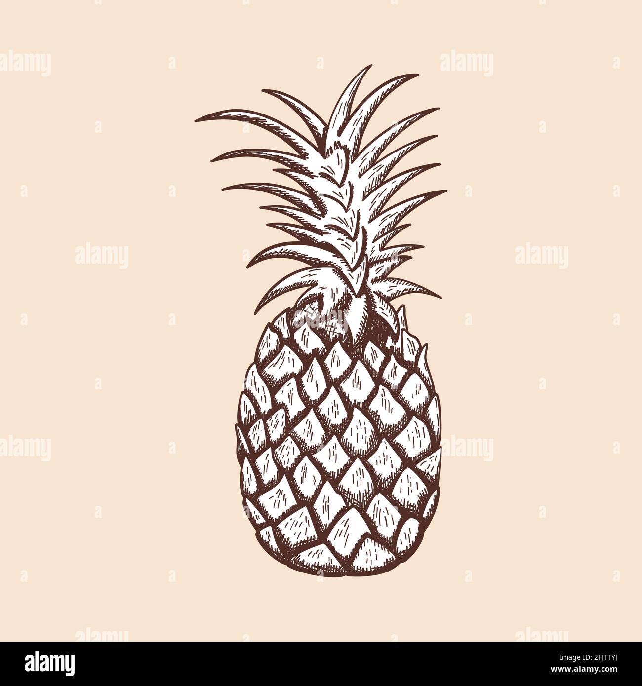 Pineapple Illustration Vintage