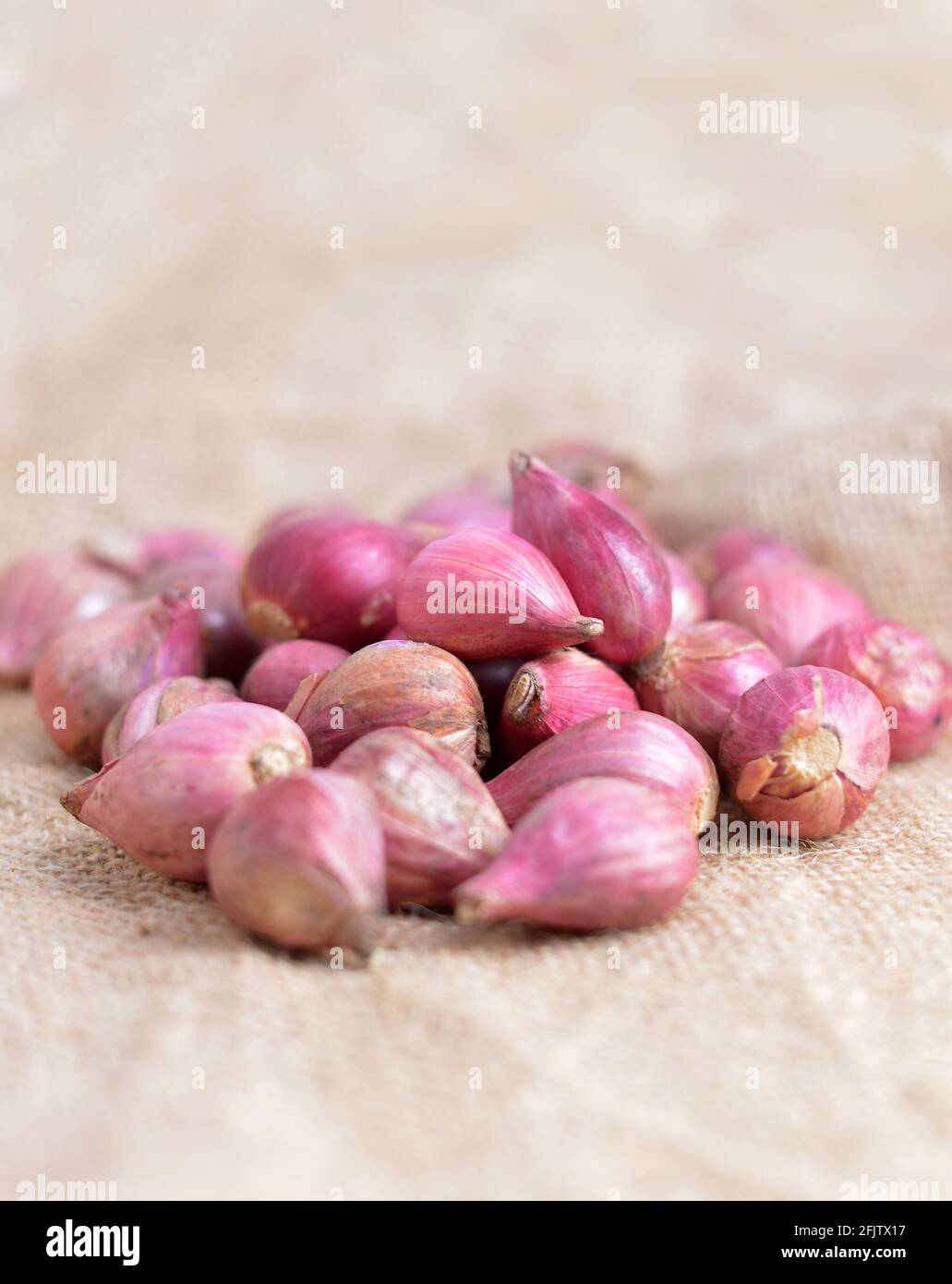 Group shallot spice hi-res stock photography and images - Alamy
