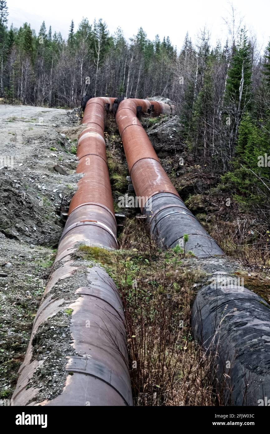 Old pipeline (two branches of iron pipes) in the forest Stock Photo - Alamy
