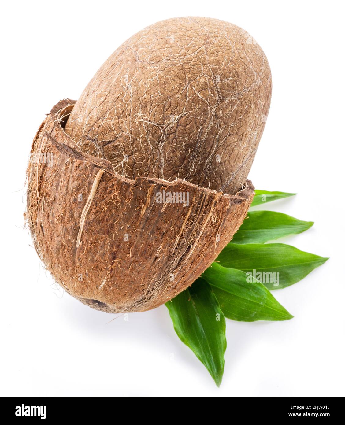 Split coconut fruit with whole inside seed over green leaves isolated ...