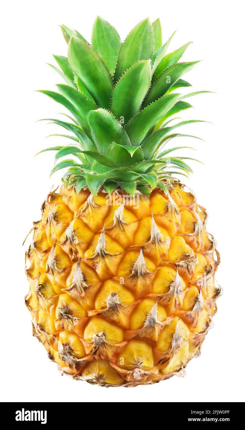 Pineapple baby yellow tropical fruit isolated on white background Stock ...