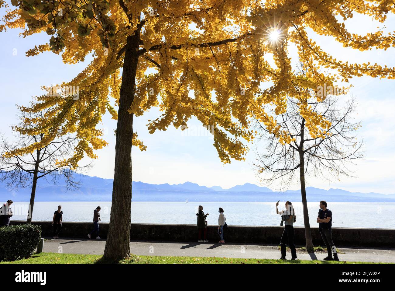 Switzerland, Canton of Vaud, Lausanne, quai d'Ouchy in the fall Stock ...