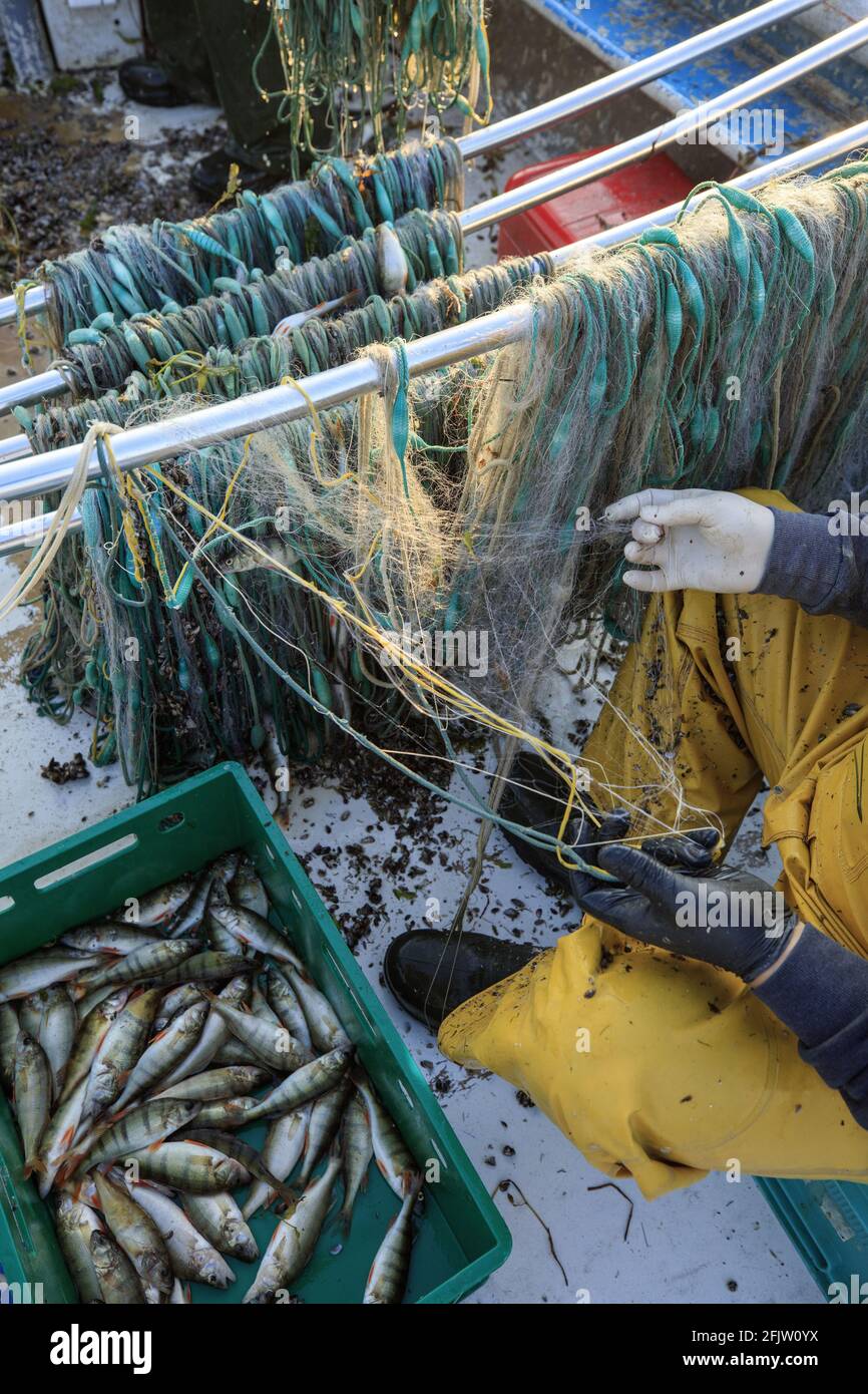 Switzerland food fish hi-res stock photography and images - Alamy