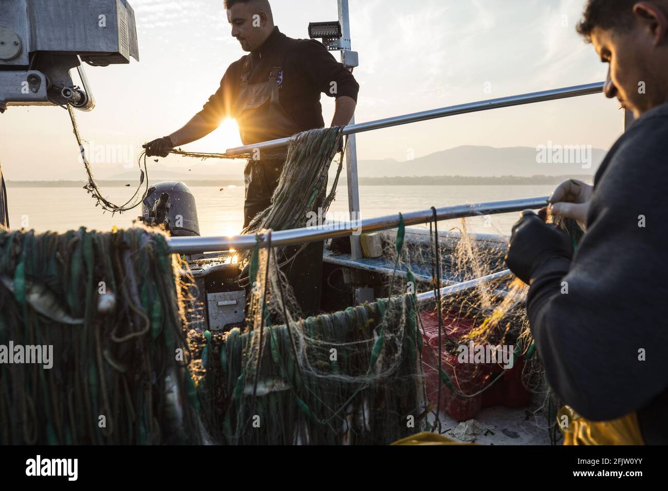 Switzerland, Canton of Vaud, Nyon, fishing on Lake Leman, La Fera fish ...