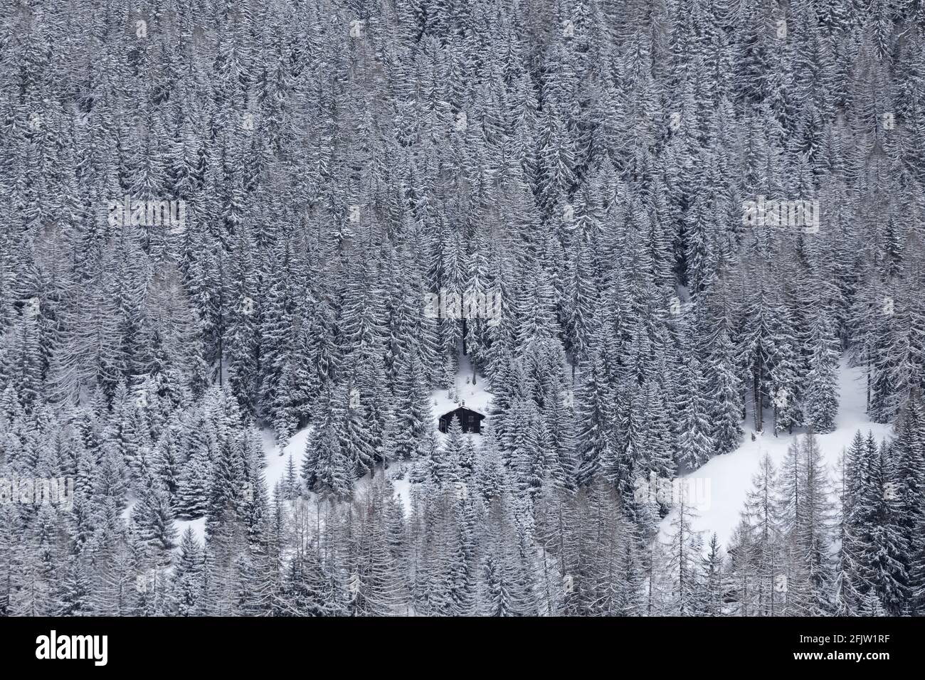 Switzerland, Canton of Valais, Obergoms, Ulrichen, chalet Stock Photo ...