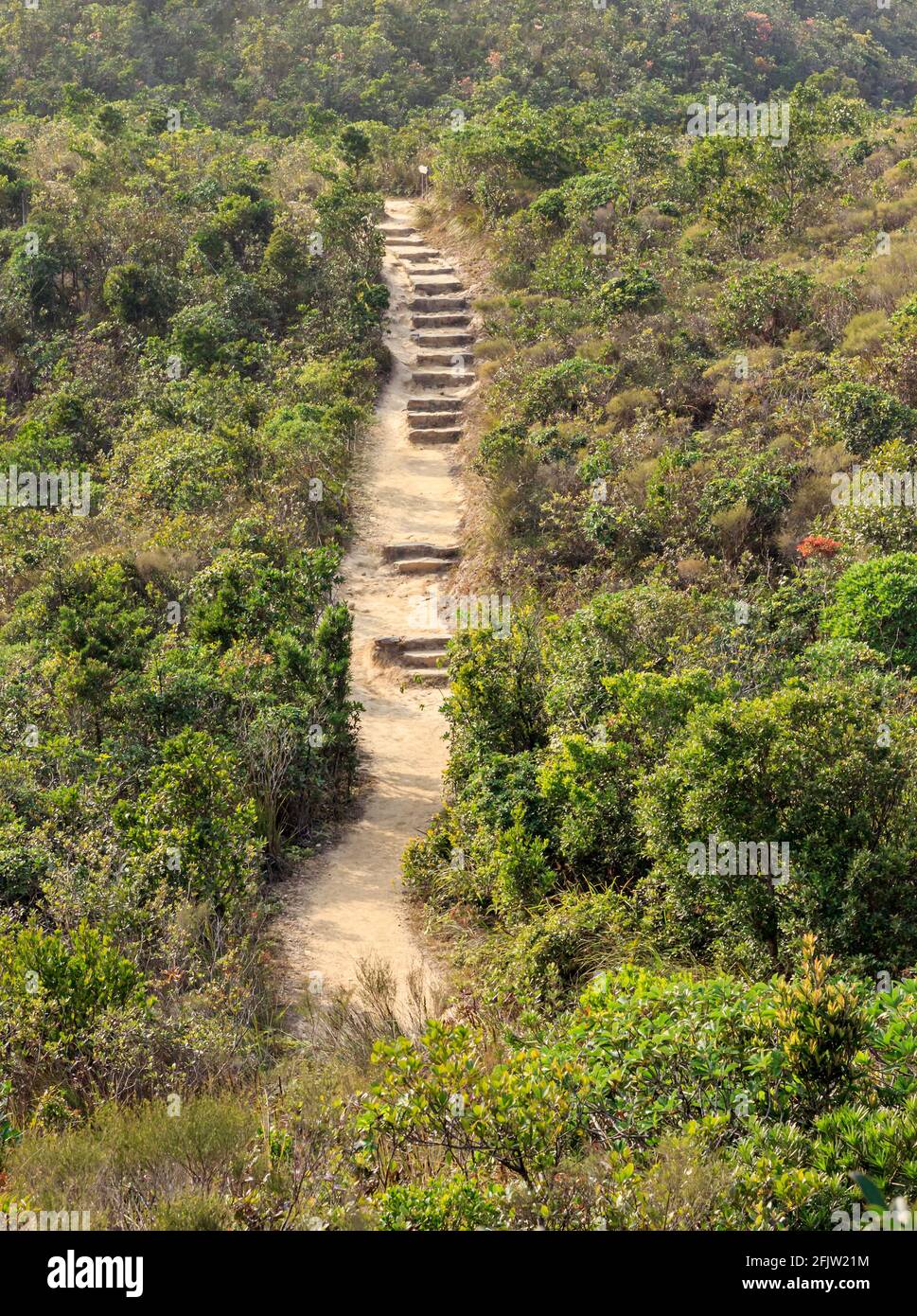 Concrete steps that leads you uphill Stock Photo - Alamy