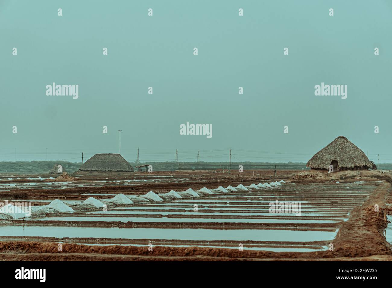 Production of salt on a farm in India Stock Photo - Alamy