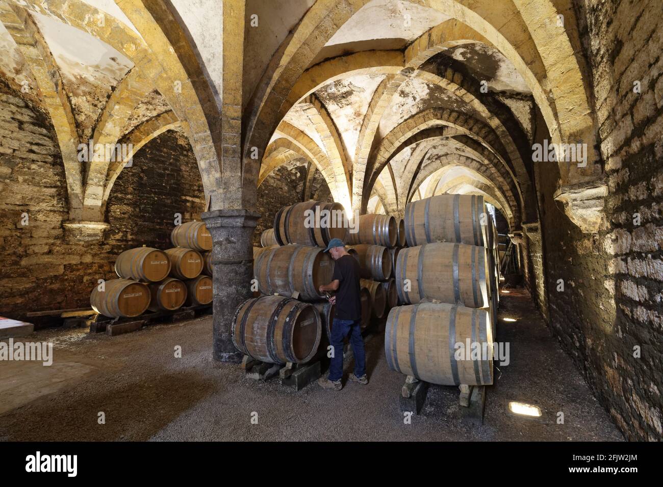 France, Jura, Arbois , one of the most beautiful cellar in the city ...