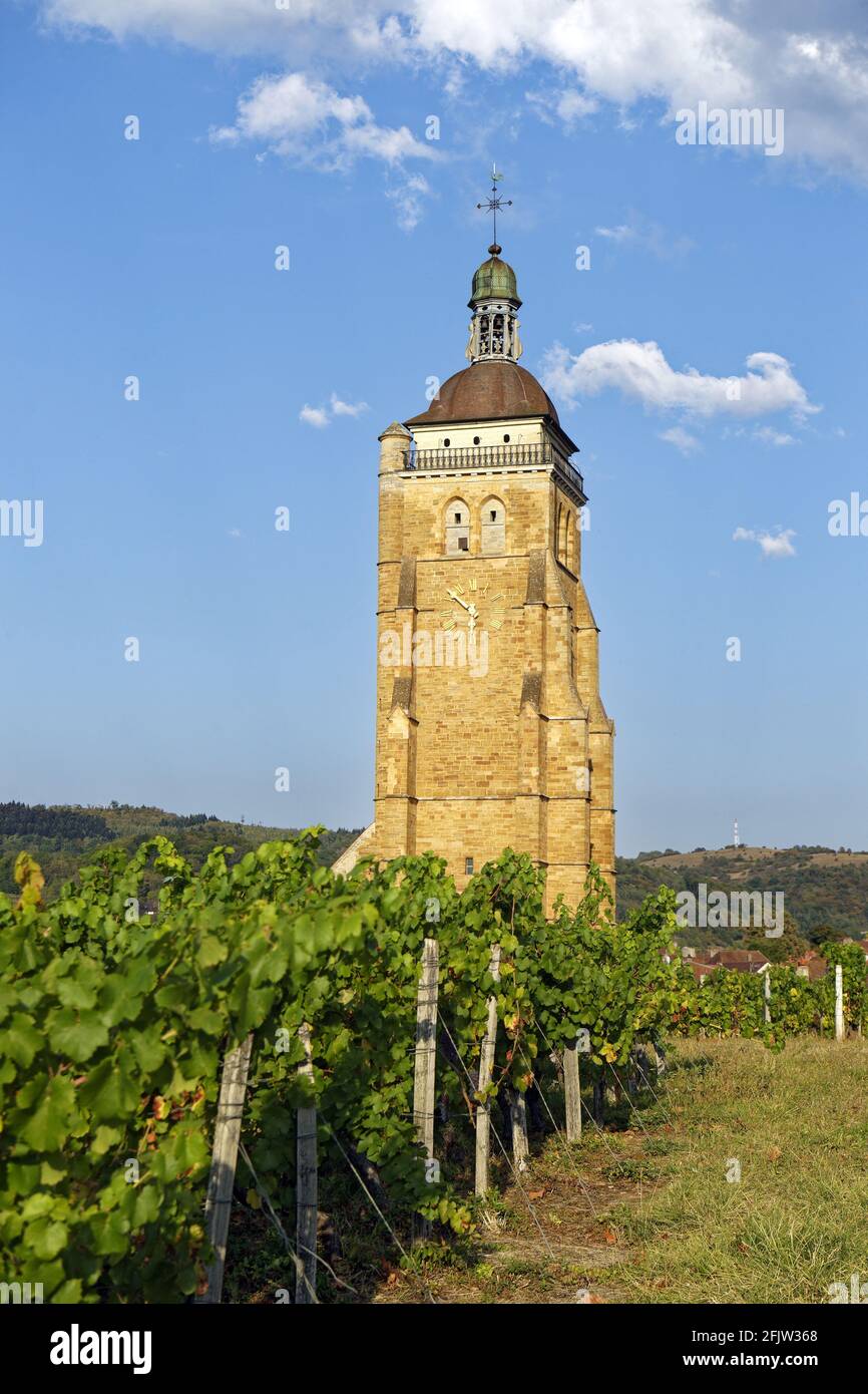 Vineyard watchtower hi-res stock photography and images - Alamy