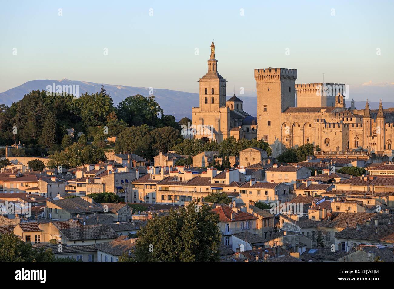 France, Vaucluse, Avignon, the Doms cathedral (12th century) and the ...