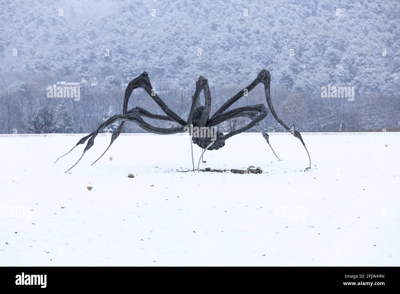 Crouching spider 2003 hi-res stock photography and images - Alamy