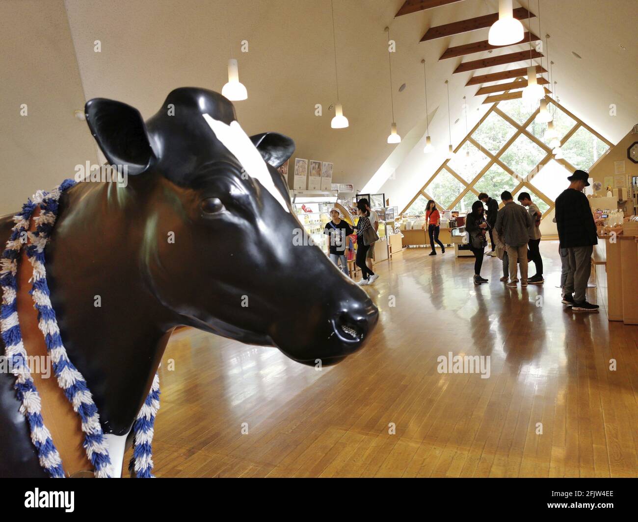 Japan, Hokkaido island, Furano, Furano cheese factory, cheese ...