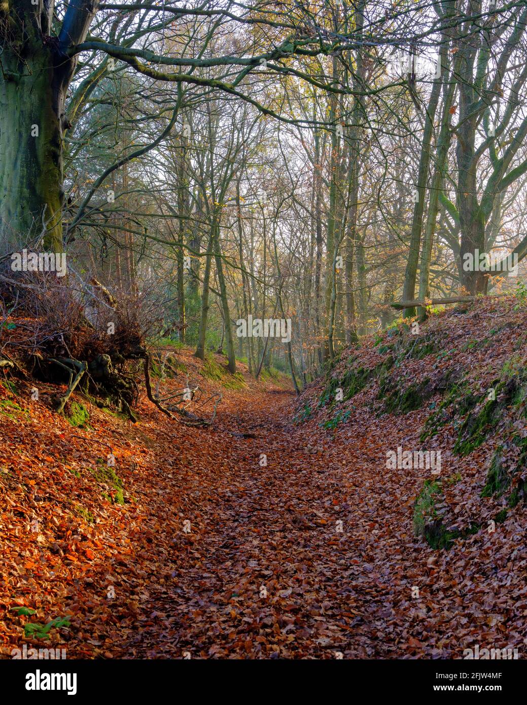 Haslemere uk hi-res stock photography and images - Alamy