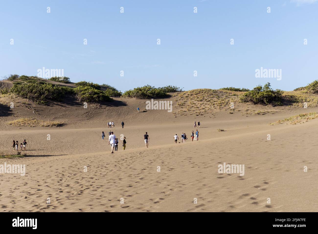 Dominican Republic, southern region, Peravia. region, Parc Nazturel des ...