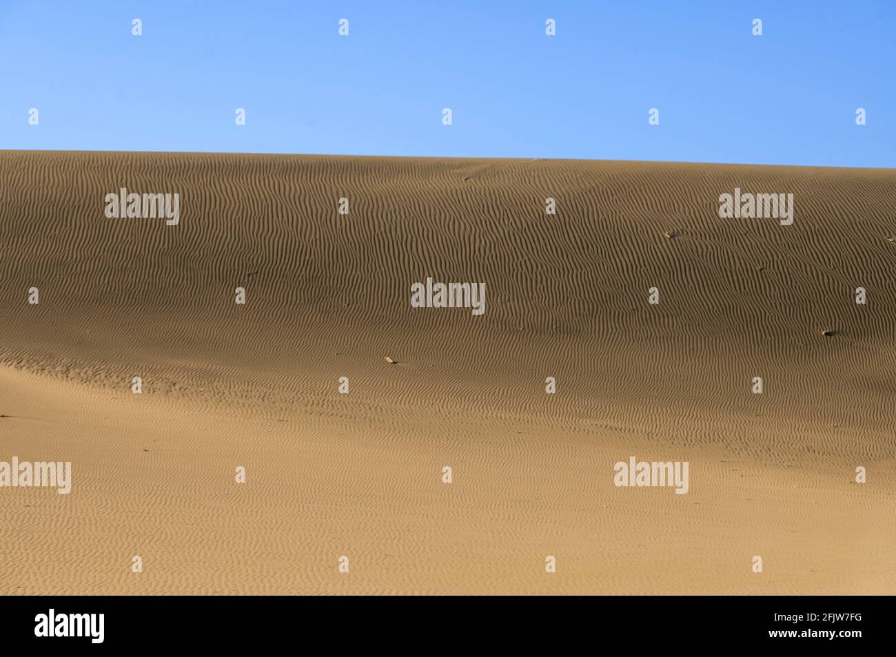 Dominican Republic, southern region, Peravia. region, Parc Nazturel des ...