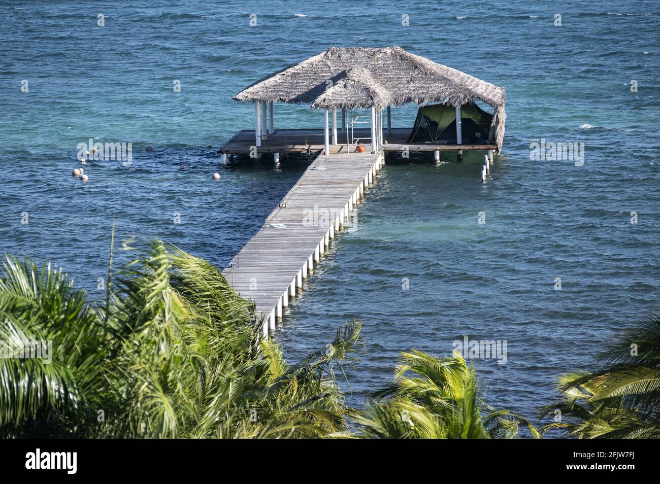 Dominican Republic, southern region, Peravia. region, Parc Nazturel des ...