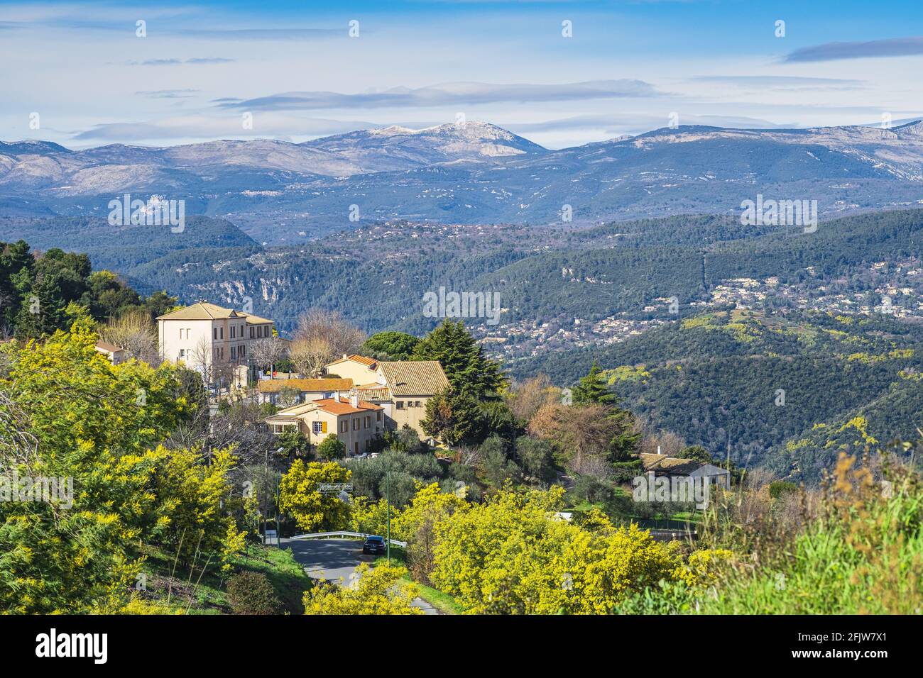 Tanneron Forest High Resolution Stock Photography and Images - Alamy