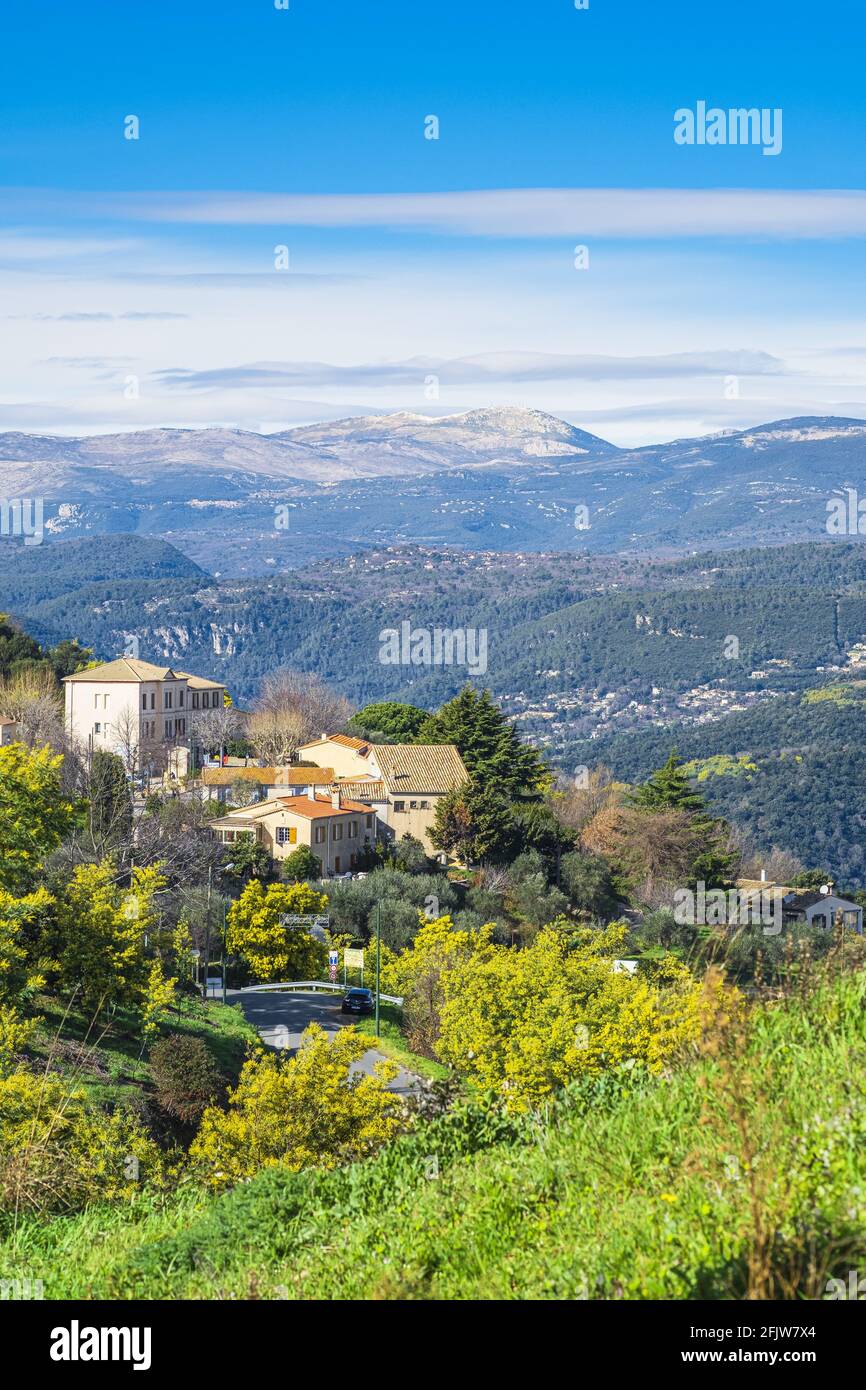 Tanneron Forest High Resolution Stock Photography and Images - Alamy