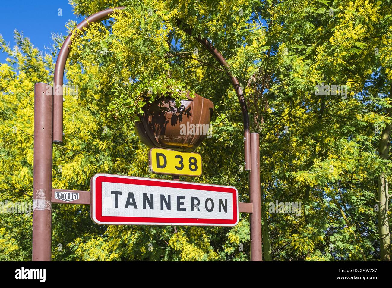 Tanneron Forest High Resolution Stock Photography and Images - Alamy