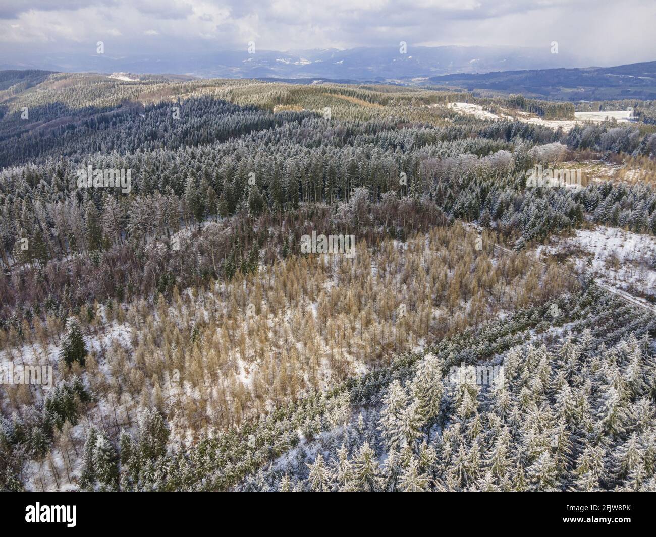 France, Puy de Dome, parc naturel régional Livradois-Forez, Livradois ...