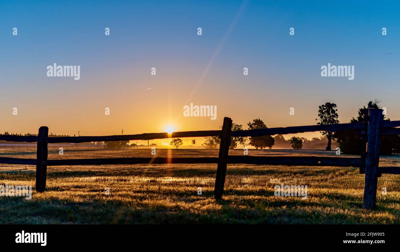 Texas summer photography hi-res stock photography and images - Alamy