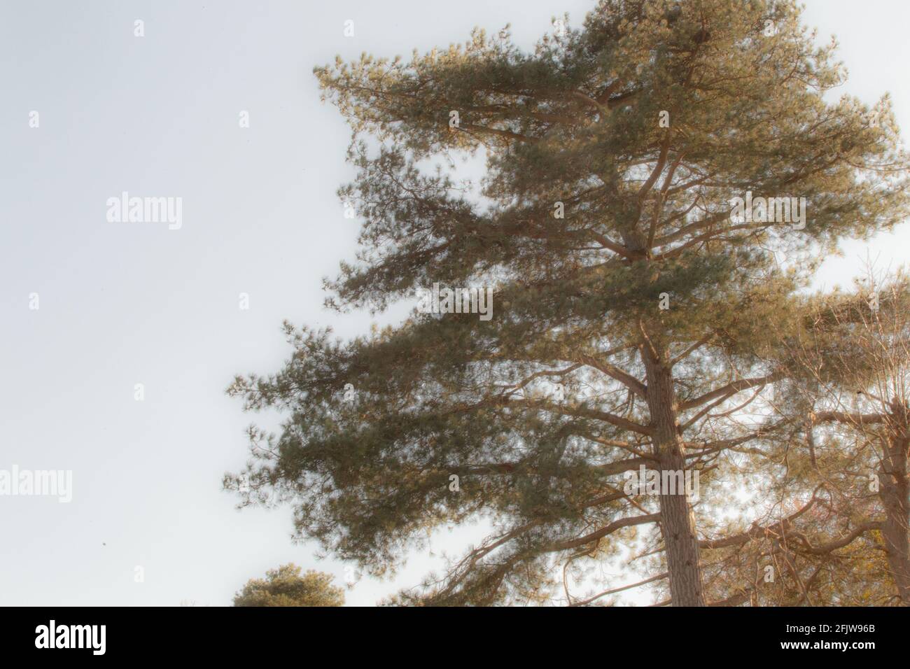 Vsco London High Resolution Stock Photography and Images - Alamy