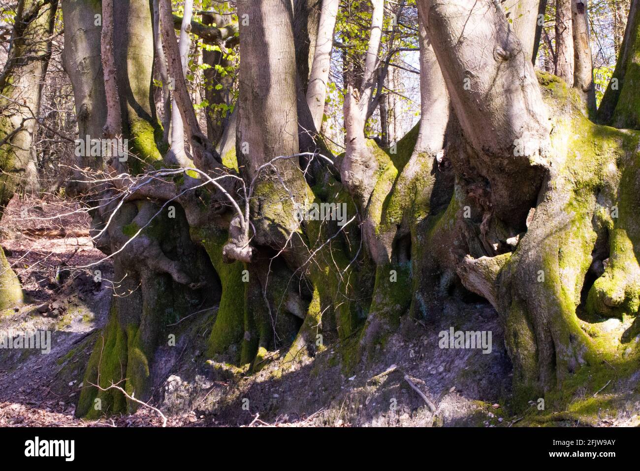 Vsco London High Resolution Stock Photography and Images - Alamy