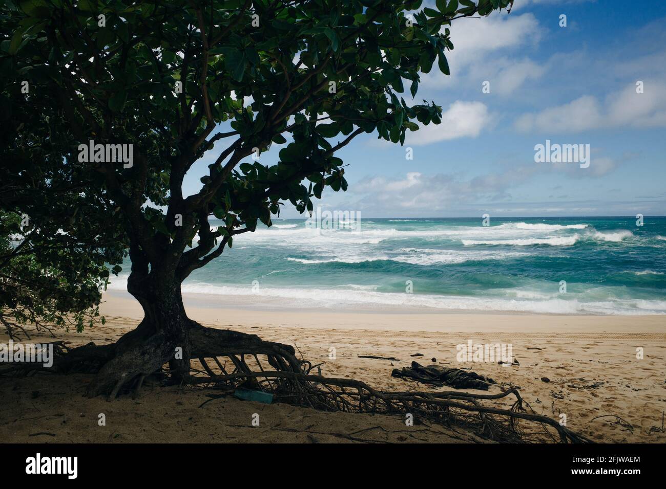 banzai pipeline on the north shore of the island of Oahu, Hawaii. High ...