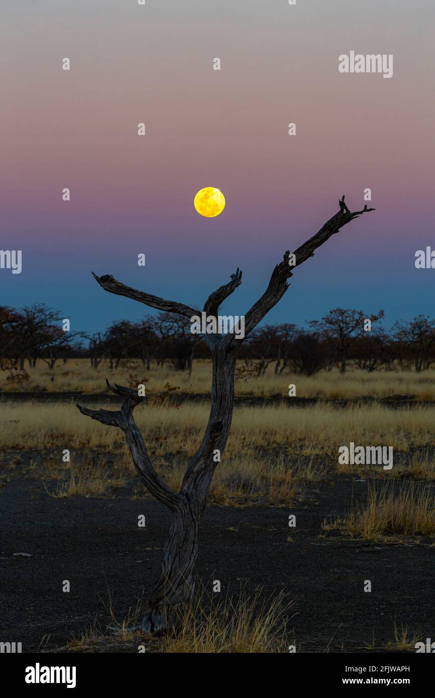Moonrise above the clouds hi-res stock photography and images - Alamy