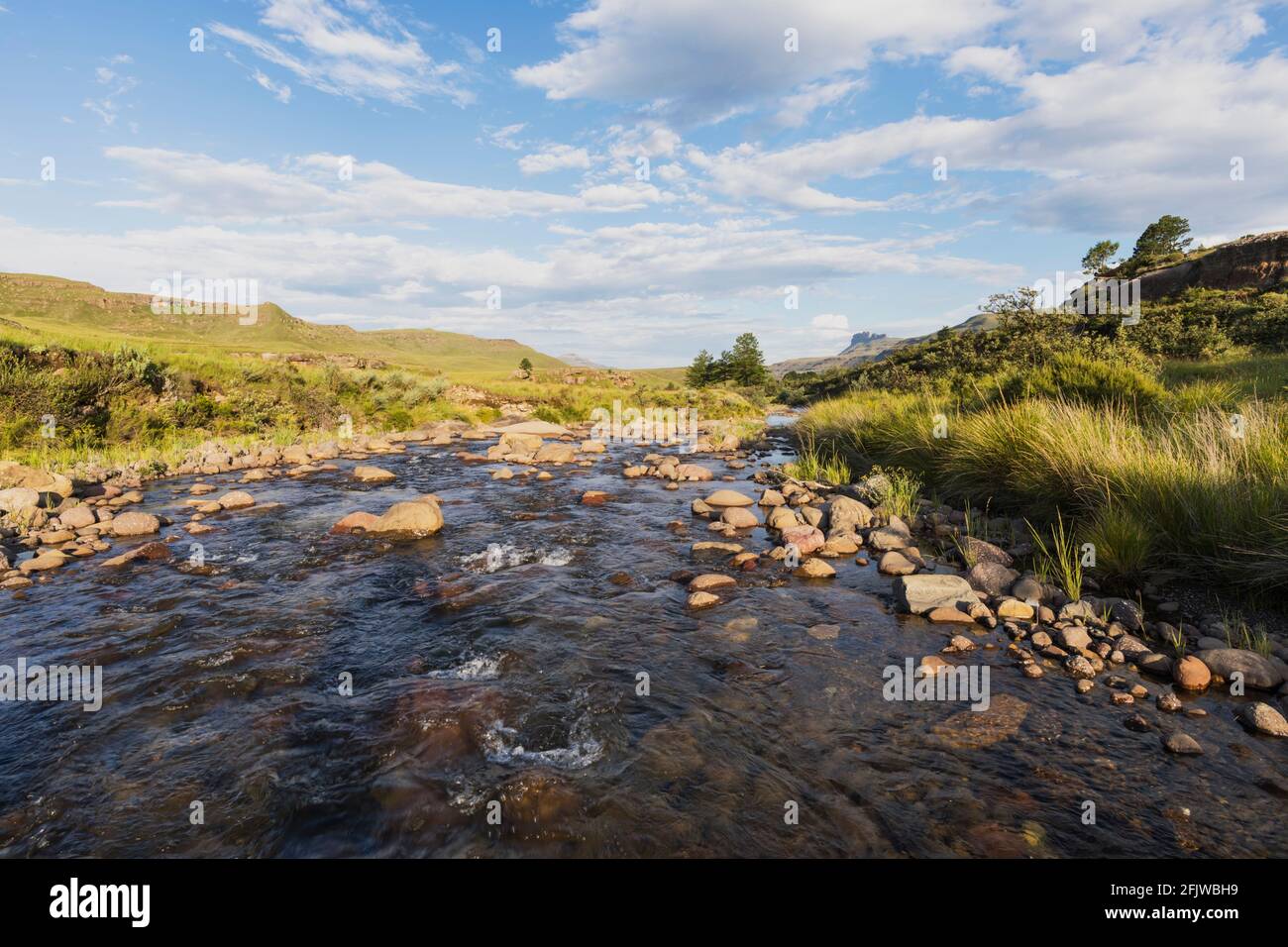 Water in the river run over rocks Stock Photo - Alamy