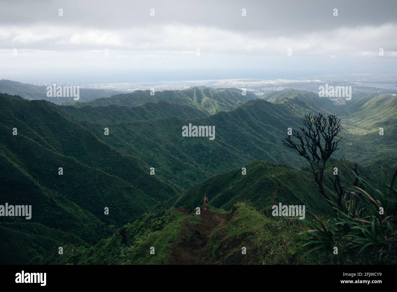 Honolulu summit hike hi-res stock photography and images - Alamy