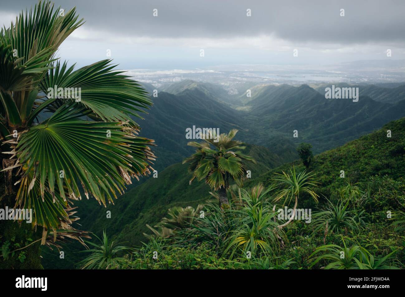 View from the summit of the Koolau Mountain range on the island of Oahu ...