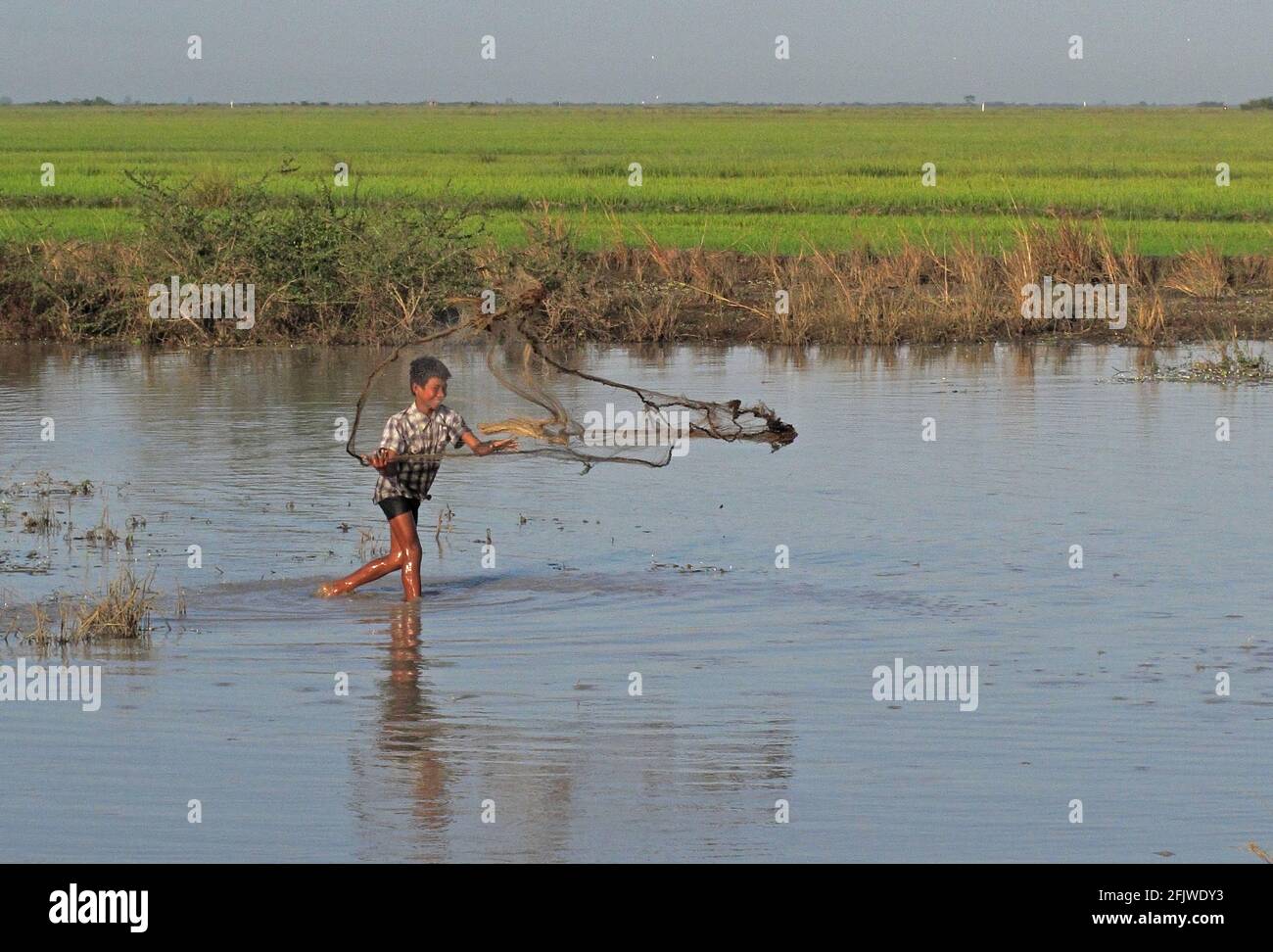 boy throwing fishing net Cambodia January Stock Photo - Alamy