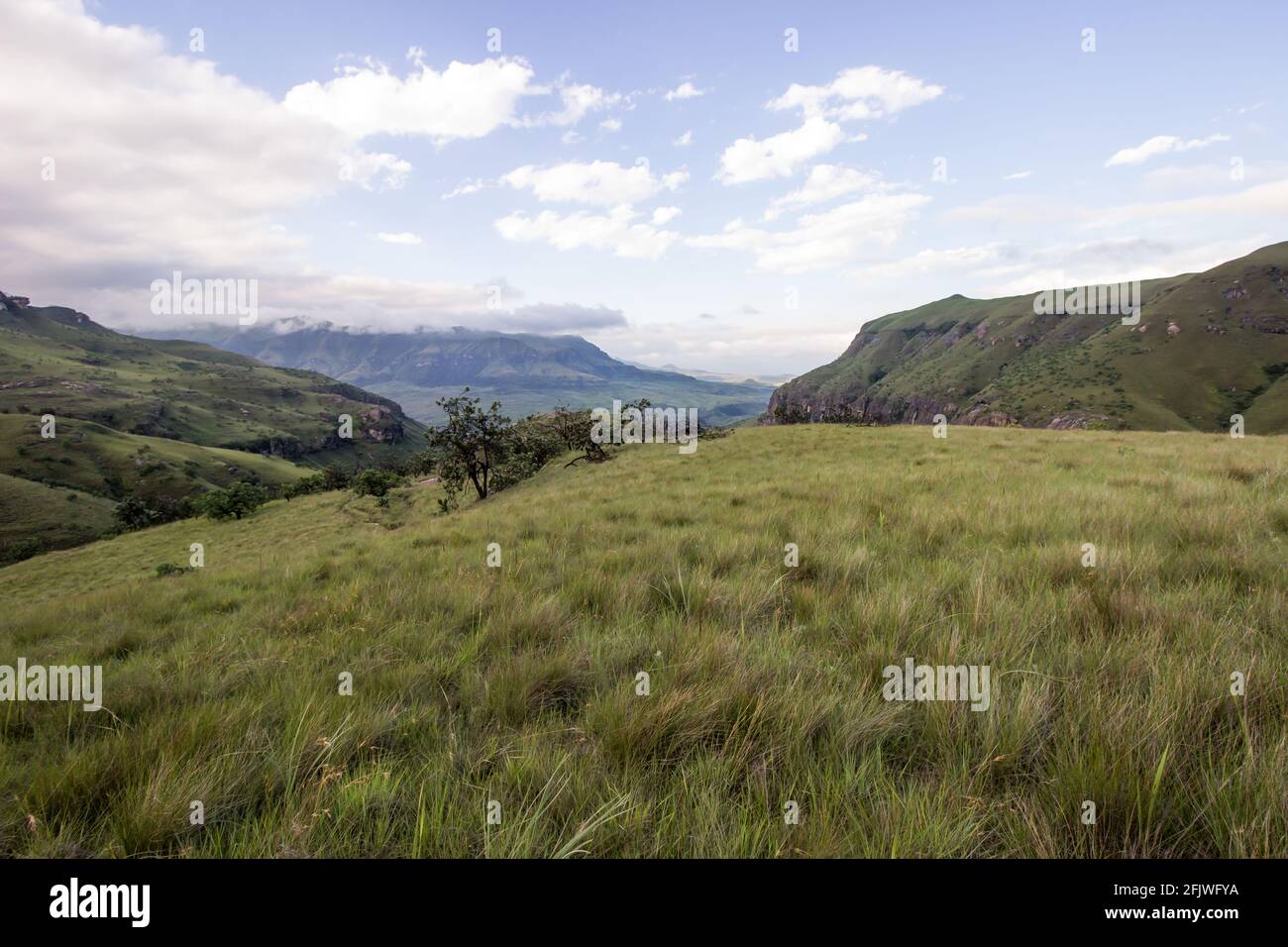 View over a small grass covered plateau area in the Drakensberg ...