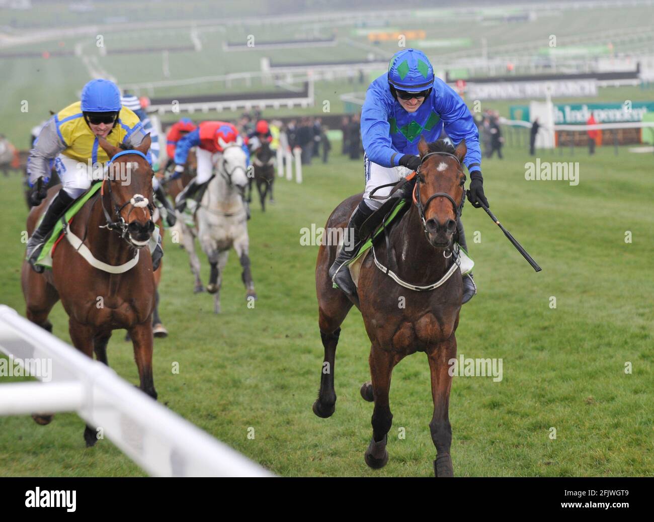 Hurricane fly cheltenham hi-res stock photography and images - Alamy