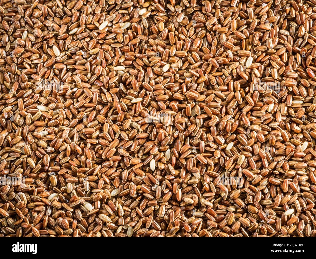 Fiber hull hi-res stock photography and images - Alamy