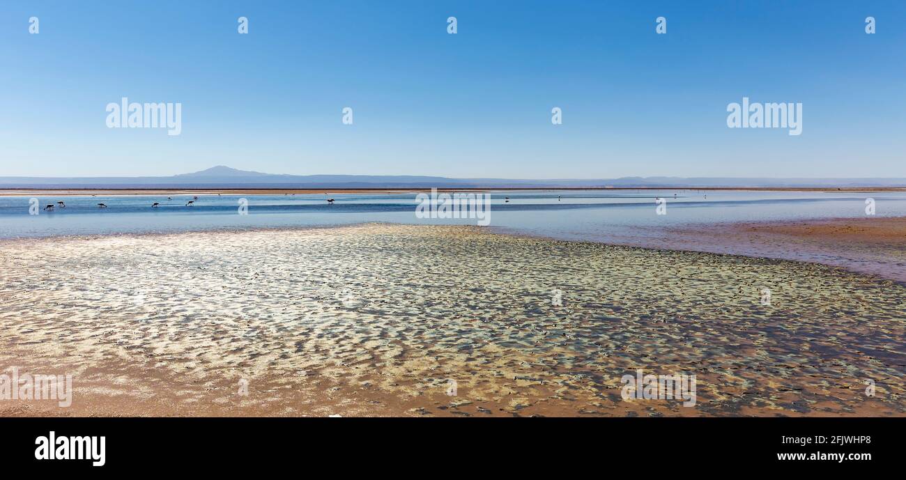 Beautiful landscape of the Chaxa Lagoon Laguna with reflection of ...