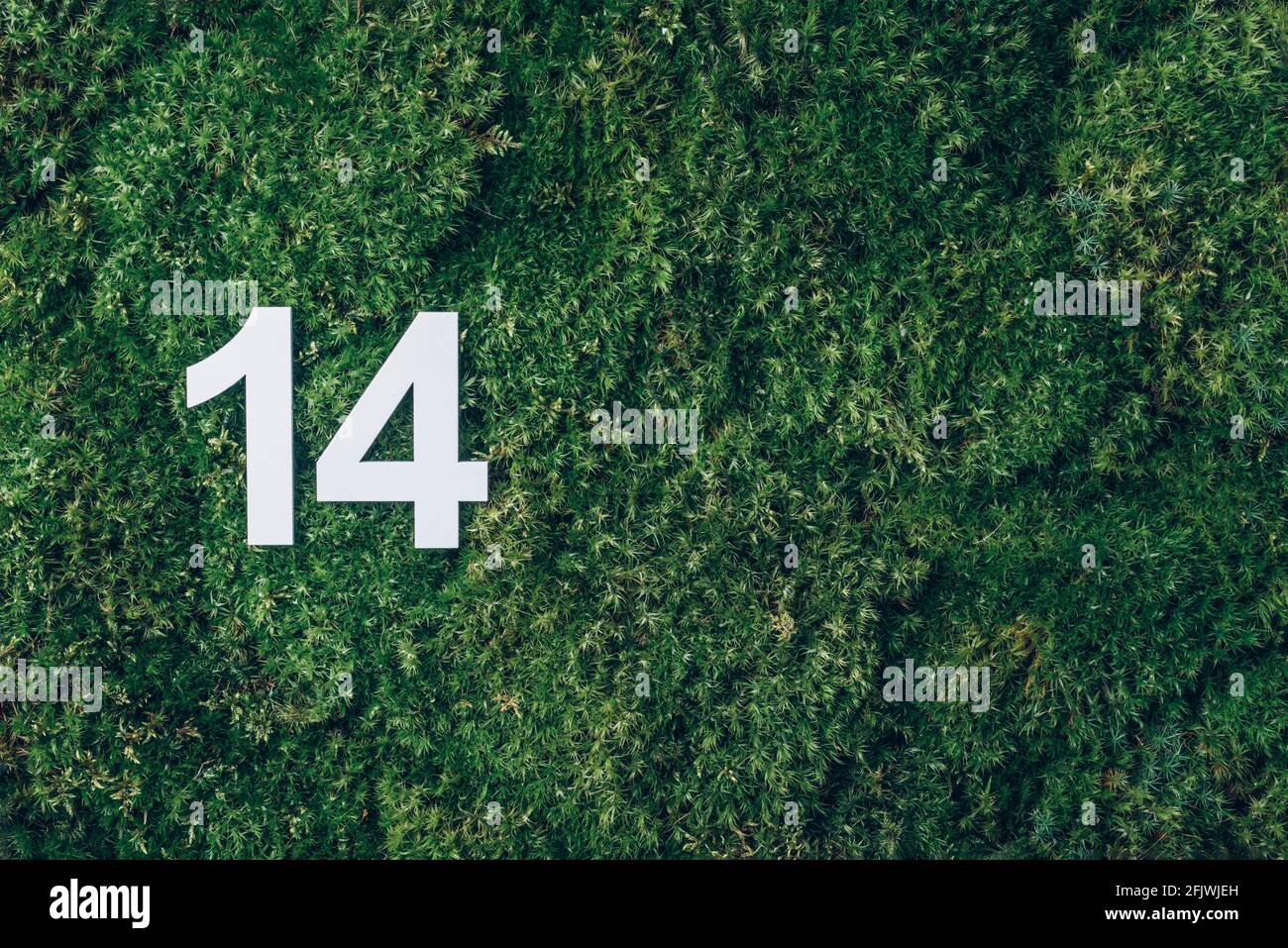 Ecology, zero waste. Green grass, digit fourteen. Birthday greeting ...