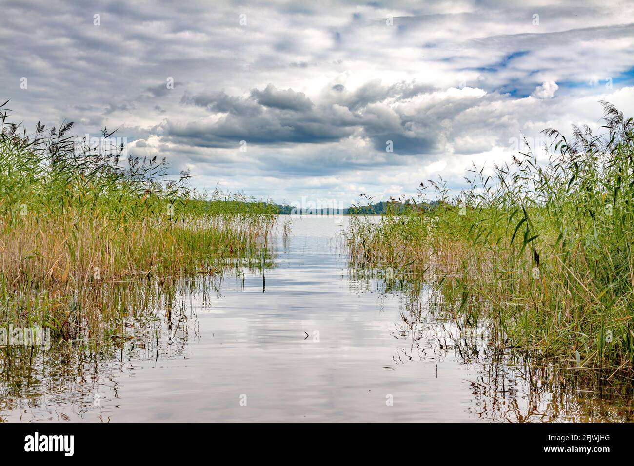 View channel green reeds hi-res stock photography and images - Alamy