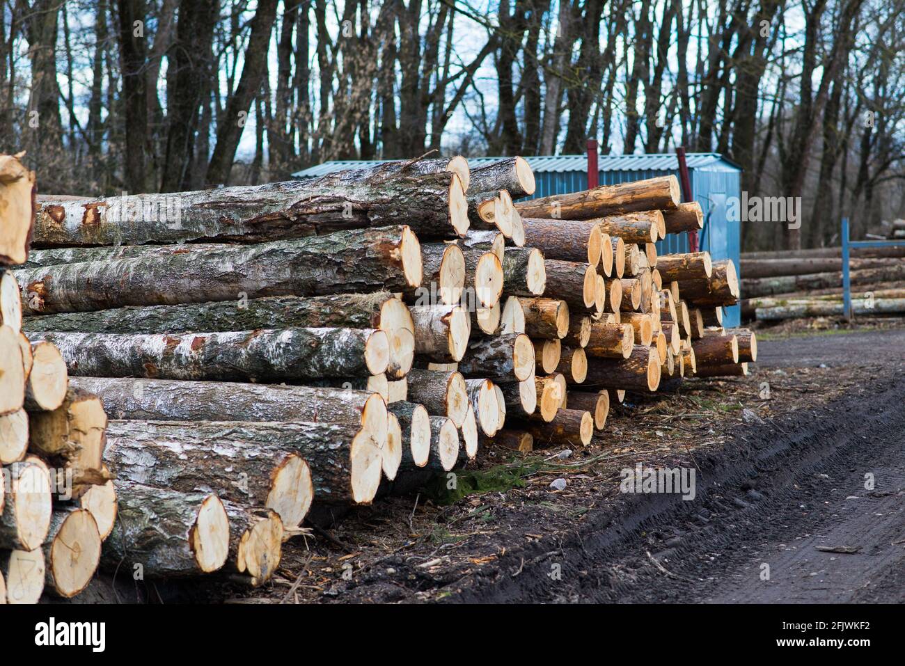 Stacked wood pine timber for construction buildings, Backgrounds Stock ...