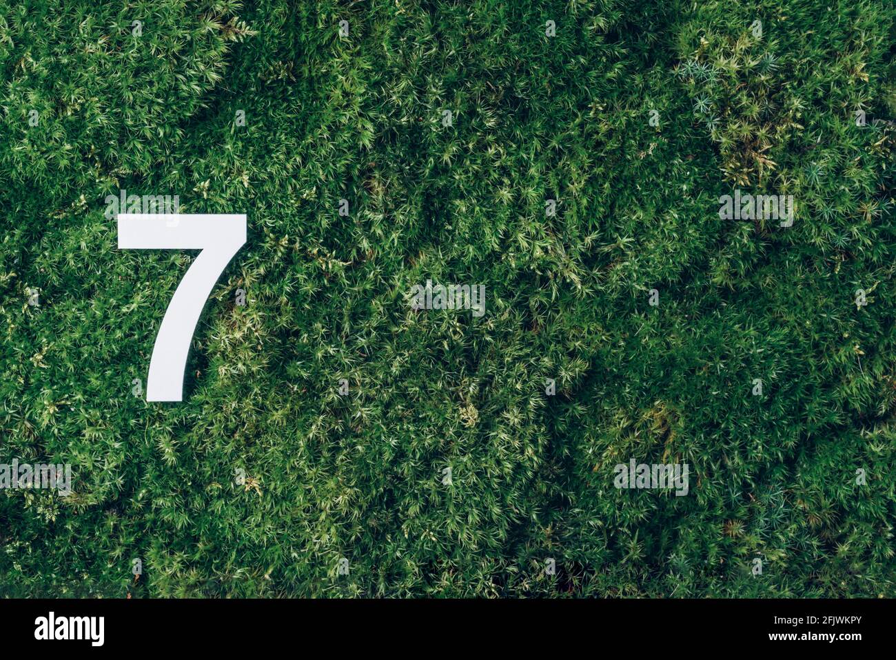 Ecology, zero waste. Green grass and digit seven 7. Birthday greeting ...