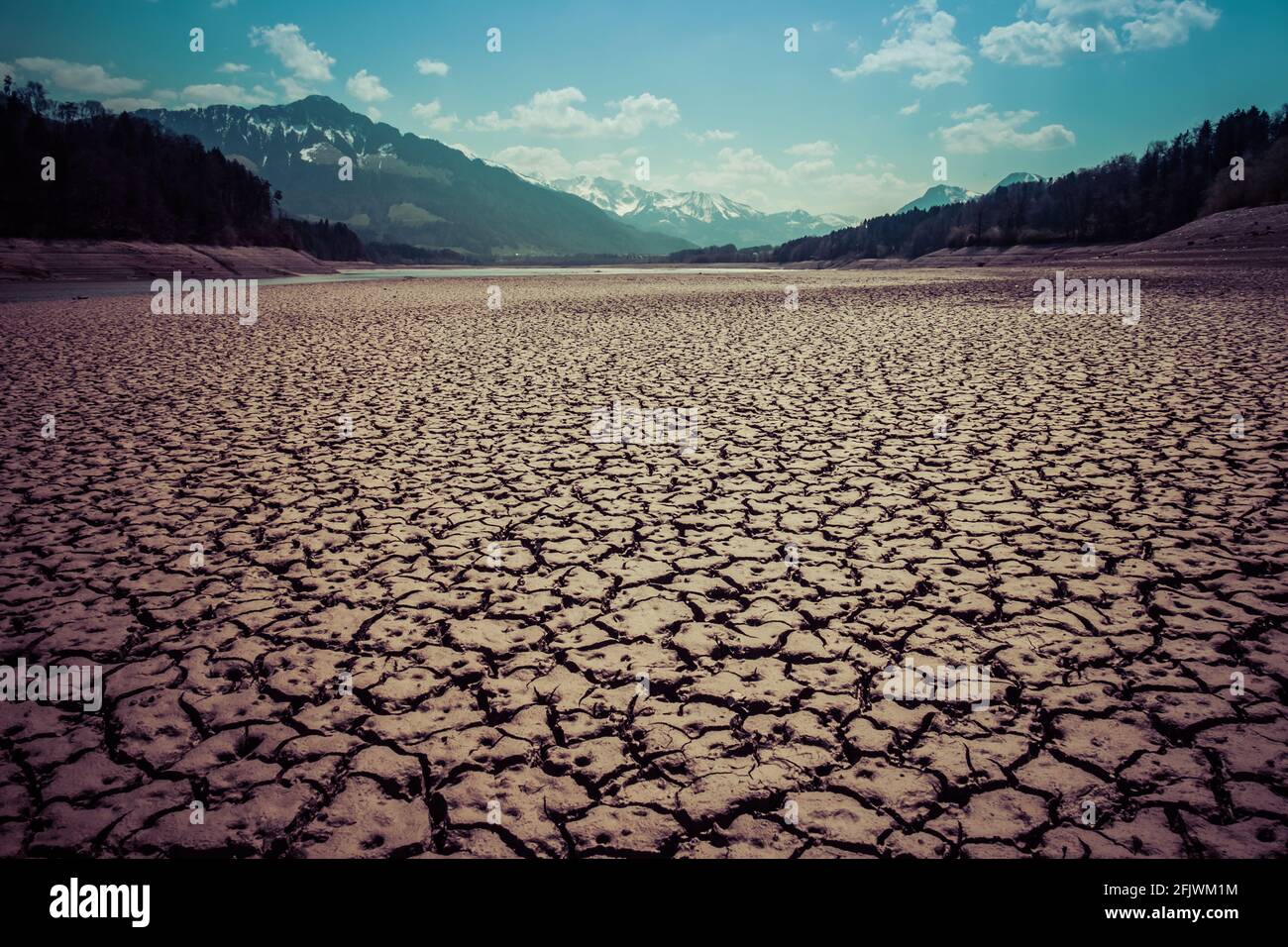 Dried Up Lake