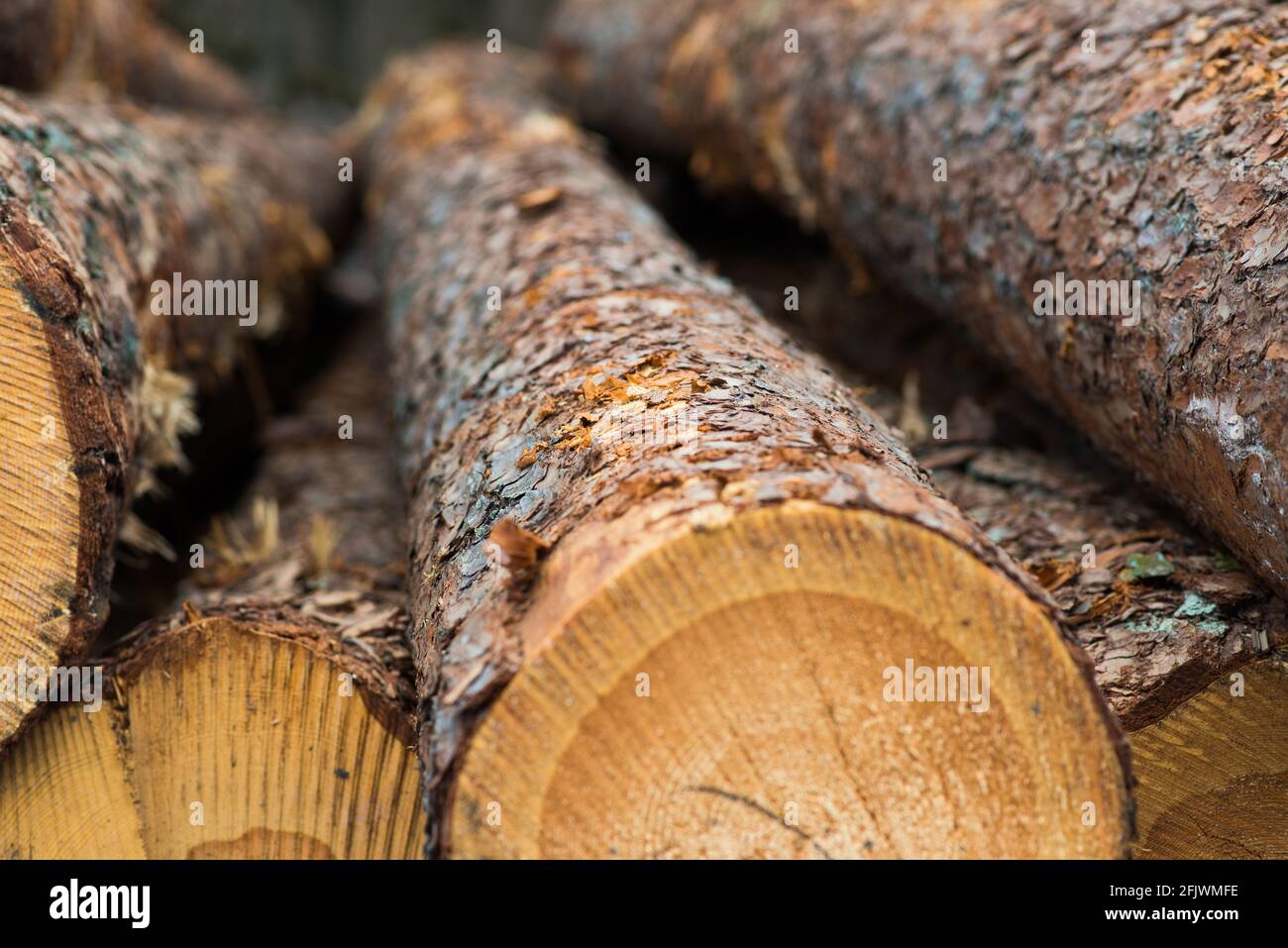 Stacked wood pine timber for construction buildings, Backgrounds Stock ...