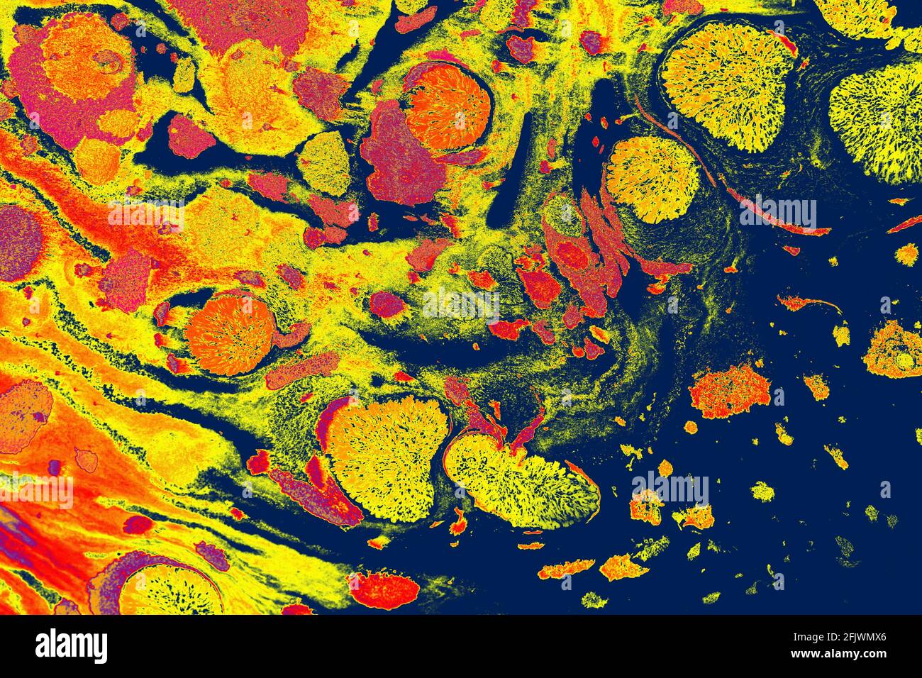 Illustration of an abstract background with colorful neon patterns ...