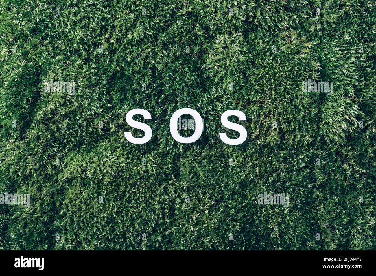 Word SOS on moss, green grass background. Top view. Copy space. Banner ...