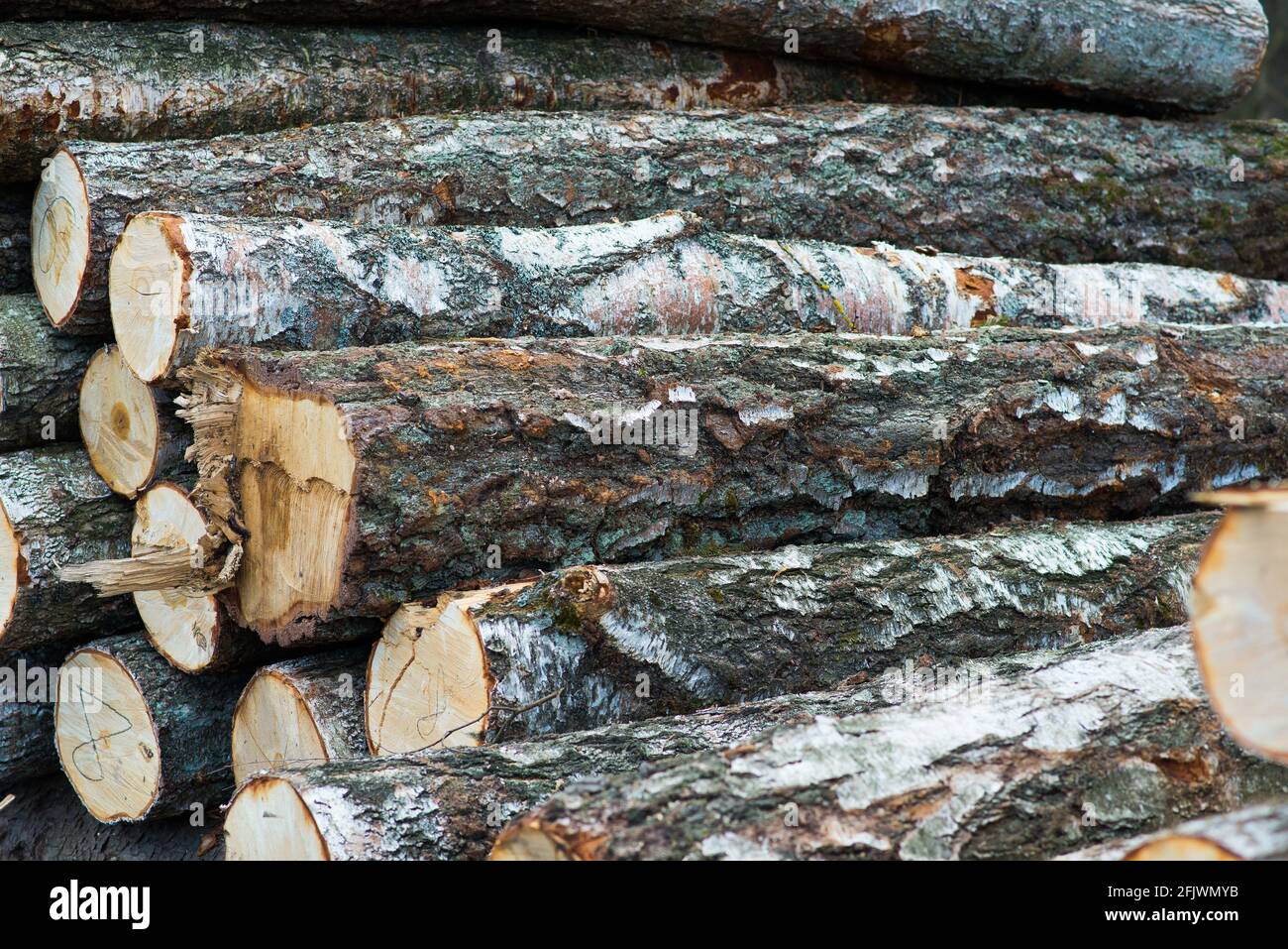 Stacked wood pine timber for construction buildings, Backgrounds Stock ...