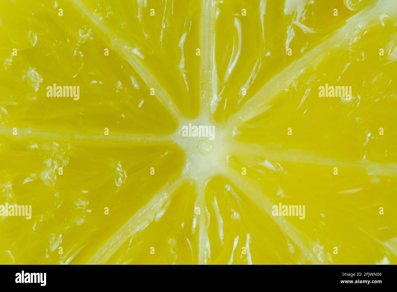 lemons cut into slices photographed close-up Stock Photo - Alamy