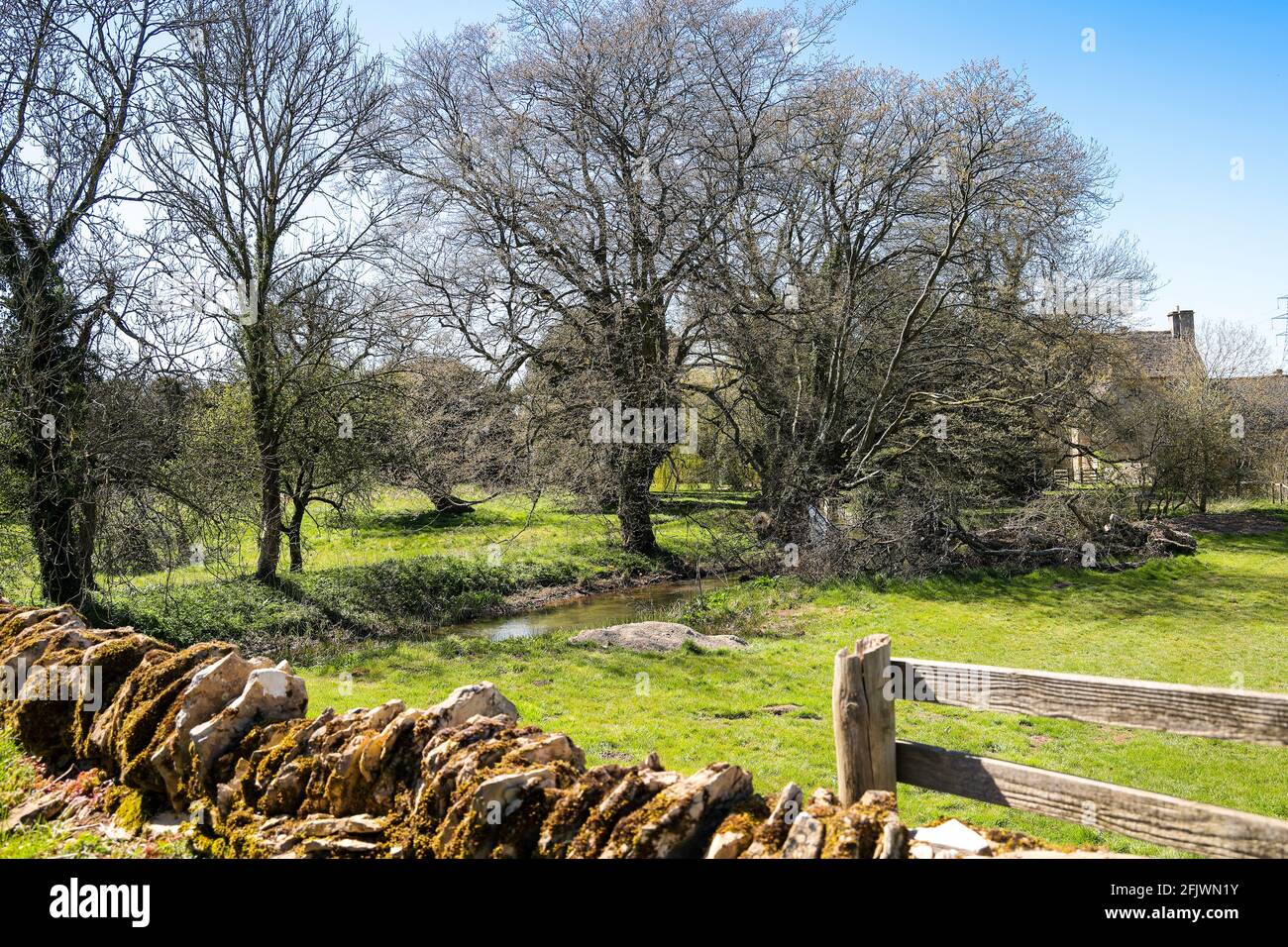 A small stream running through a Cotswold meadow with trees, dry stone ...